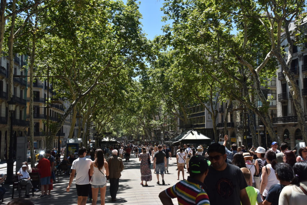 ΒΑΡΚΕΛΩΝΗ – ΣΥΛΛΟΓΟΣ ΕΚΠΑΙΔΕΥΤΙΚΩΝ Π.Ε. "Γ. ΣΕΦΕΡΗΣ"